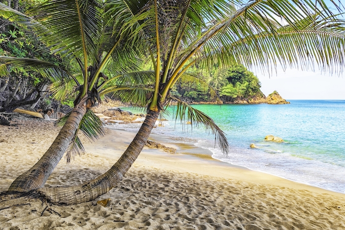 Banana Beach Wallpaper - Tropical and Relaxing | Happywall