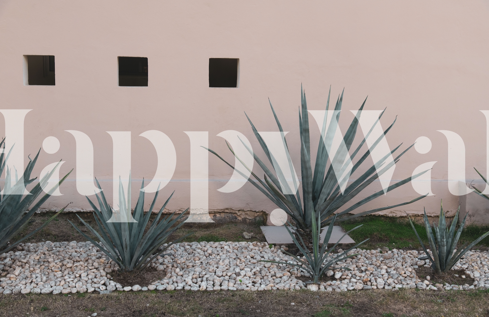 Blush Agave Tropical Wallpaper