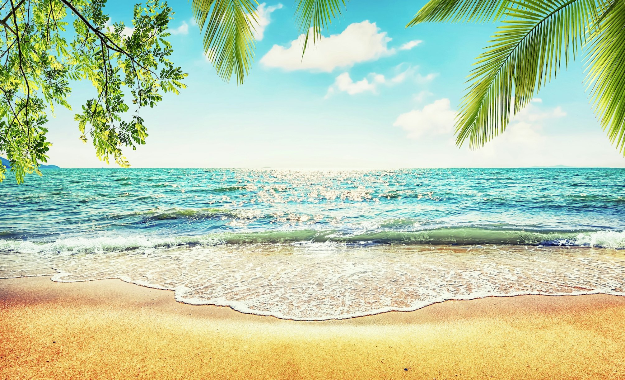 Sunny Beach Wallpaper Happywall