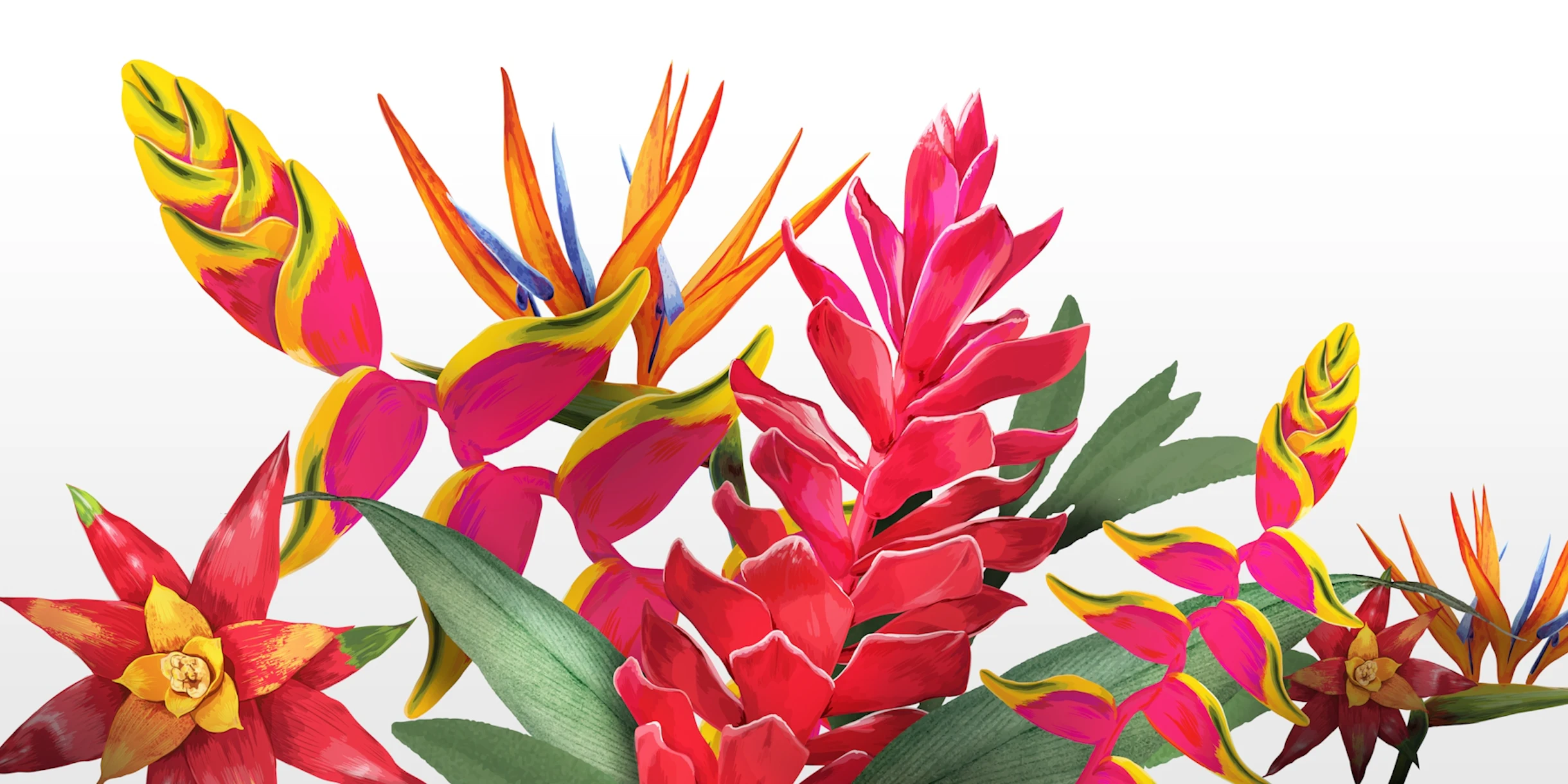 Floral Tropical White wallpaper - Happywall