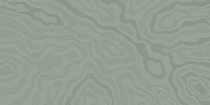 Green Abstract Map Wallpaper for Modern Decor