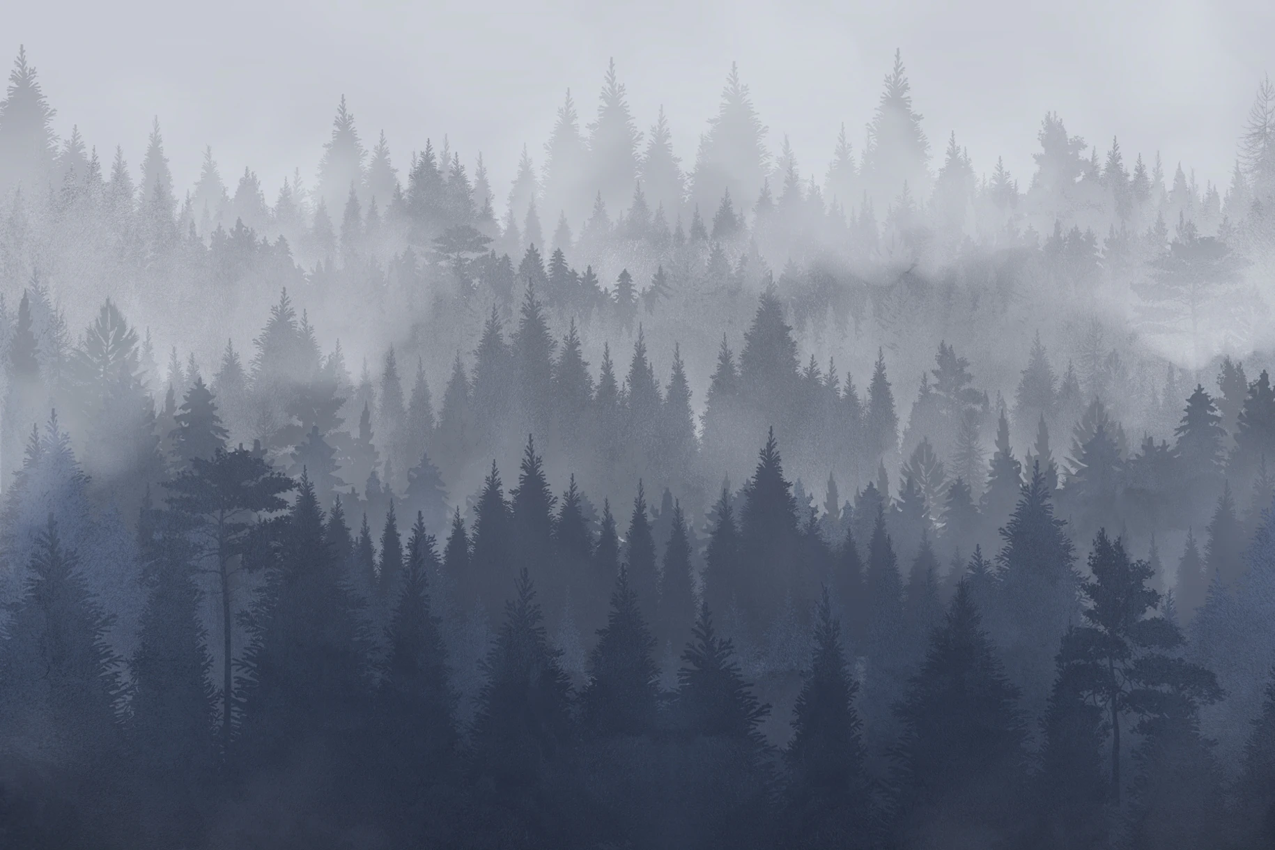 Forest Blue wallpaper - Happywall