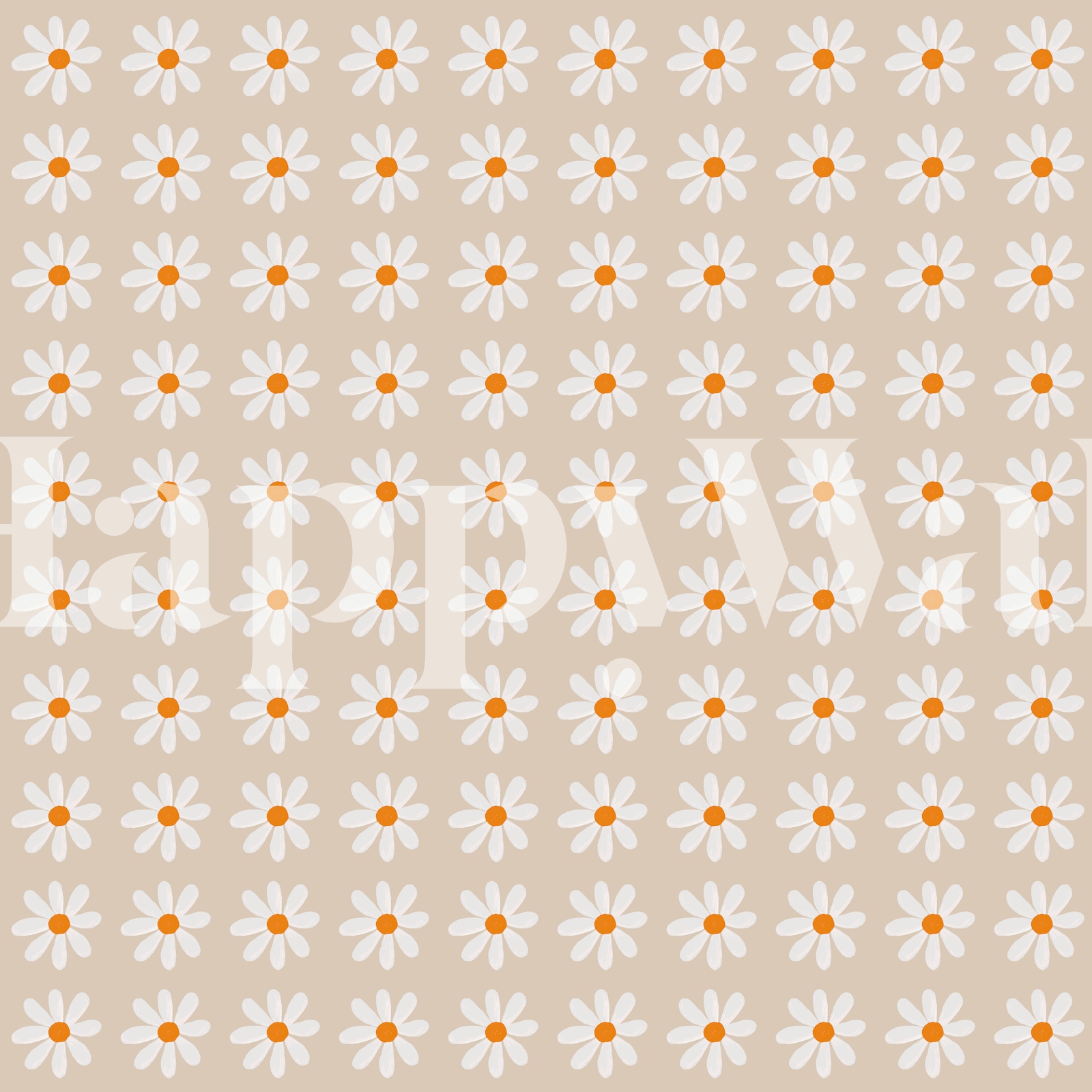 Boho Floral Daisy Wallpaper for Home