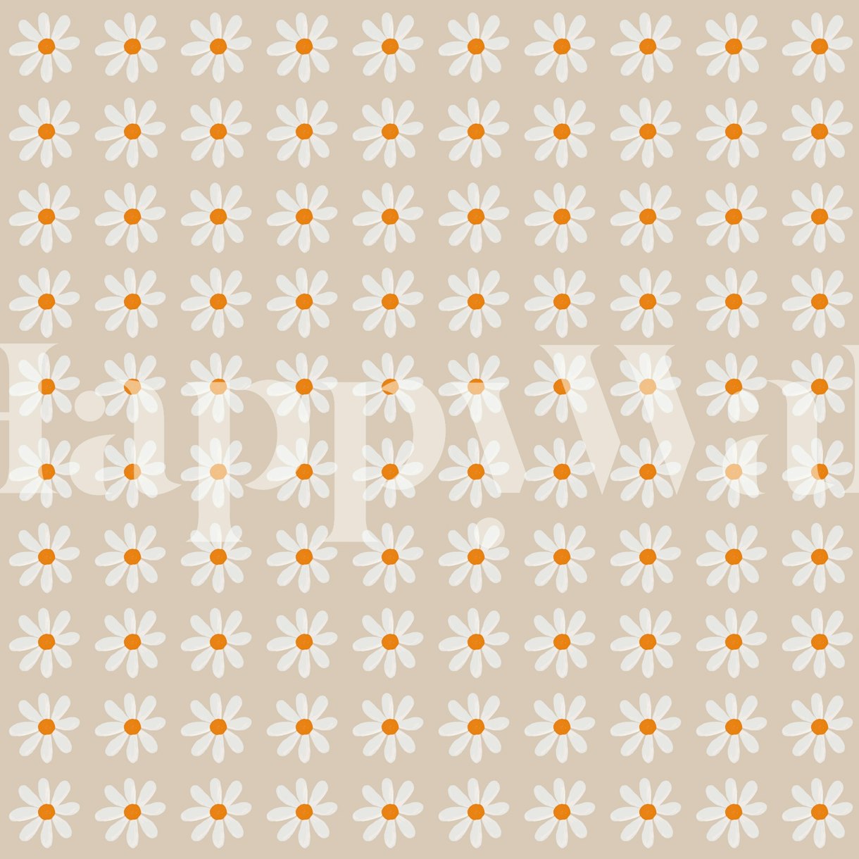 Daisy Pattern Wallpaper | Happywall