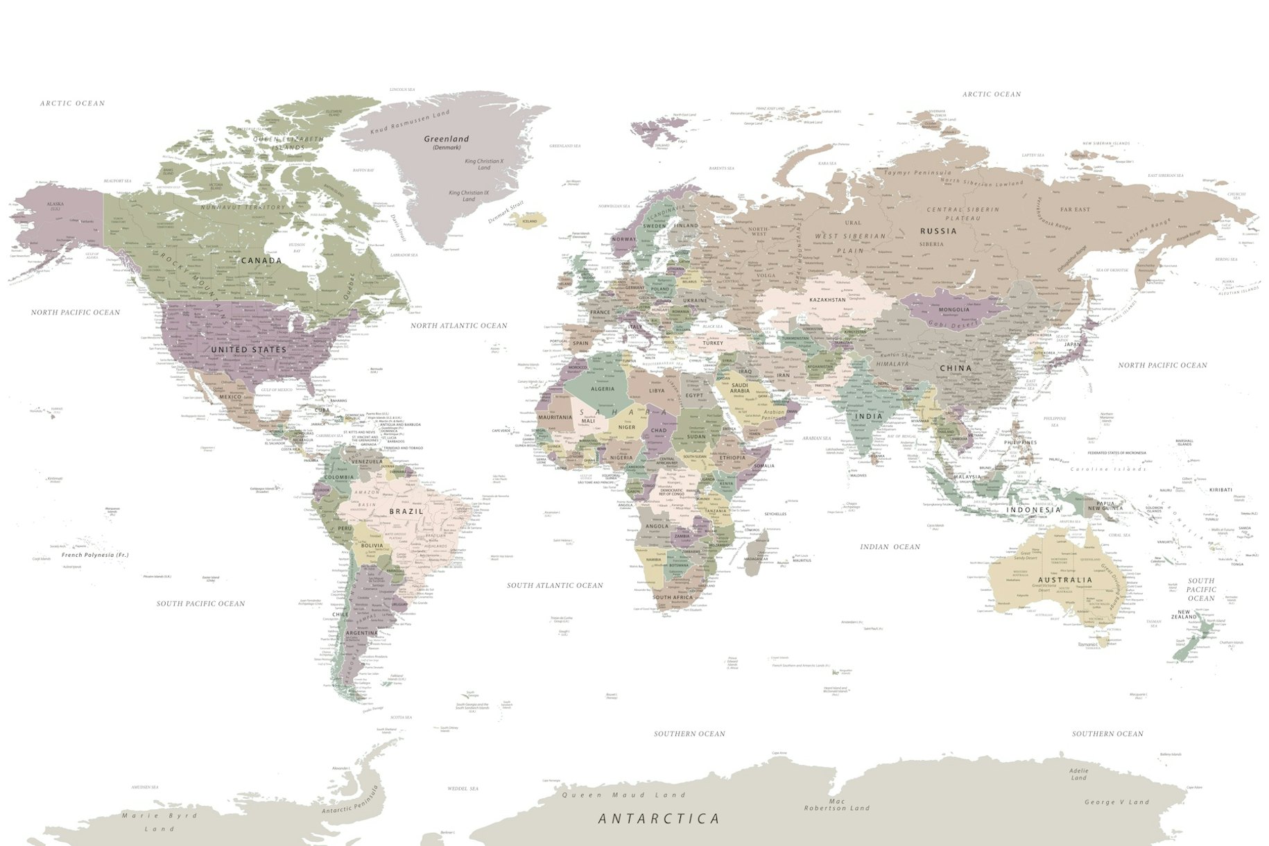 Gedetailleerde wereldkaart behang | Happywall