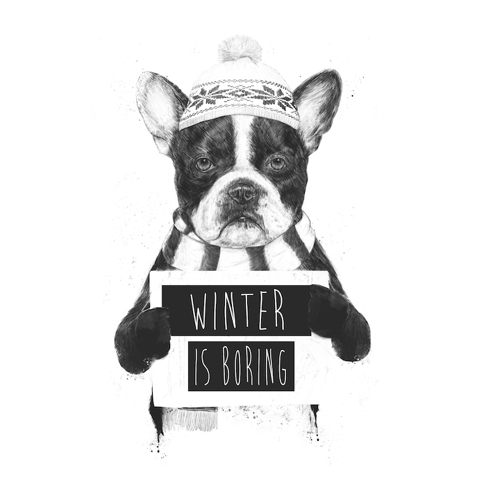 Winter is Boring Wallpaper | Happywall.com