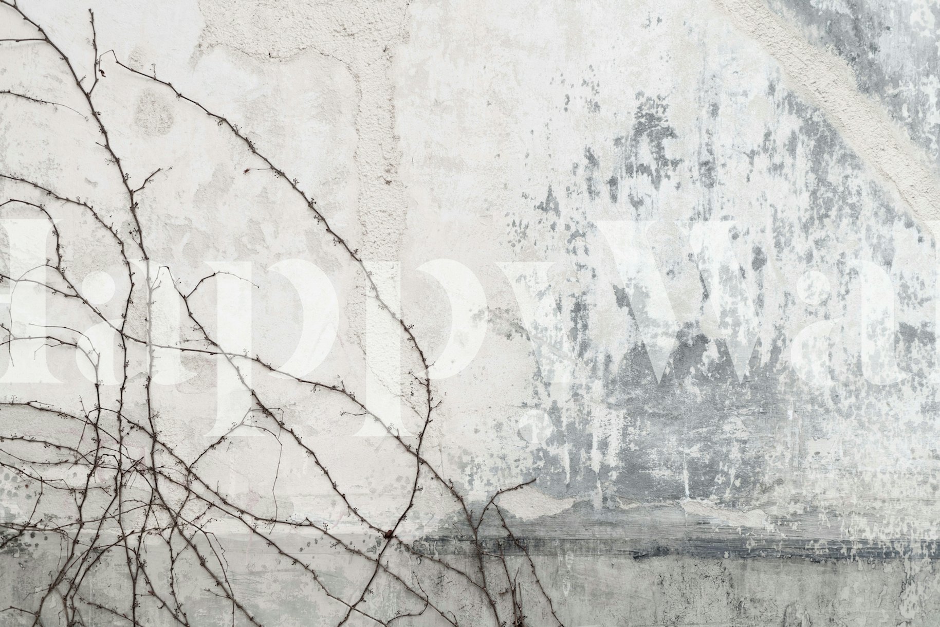 Rustic Roman Wall 4 wallpaper - Happywall