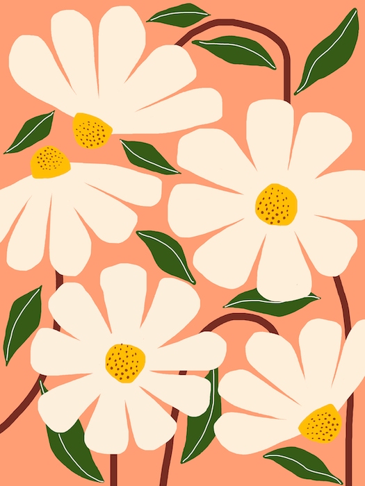 Peach Floral Wallpaper with Wild Daisies Design