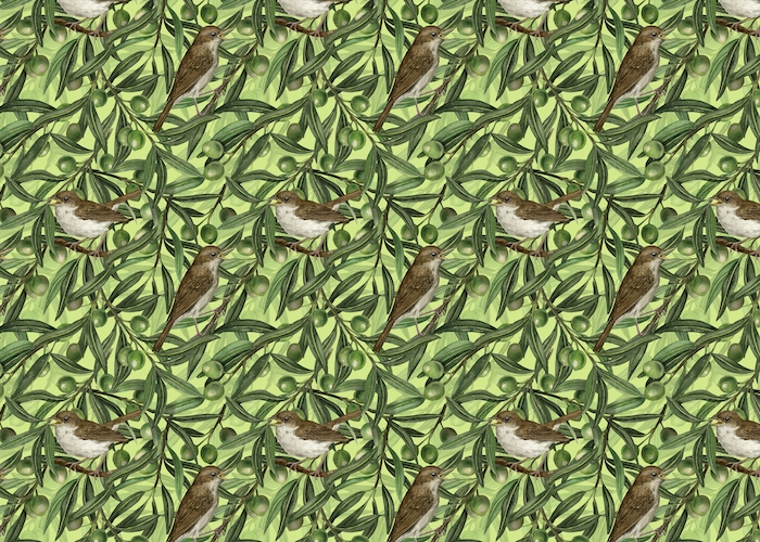 Birds in Olive Tree Green Wallpaper