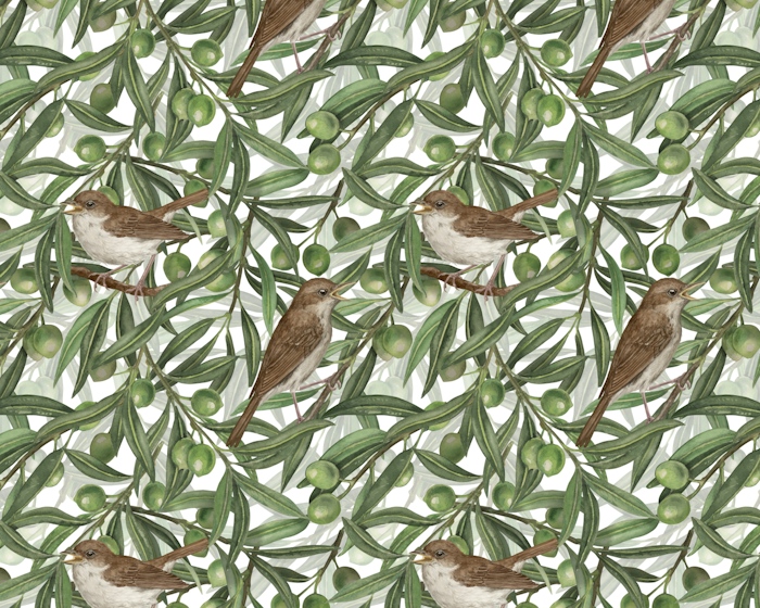 Birds in Olive Tree Floral Wallpaper