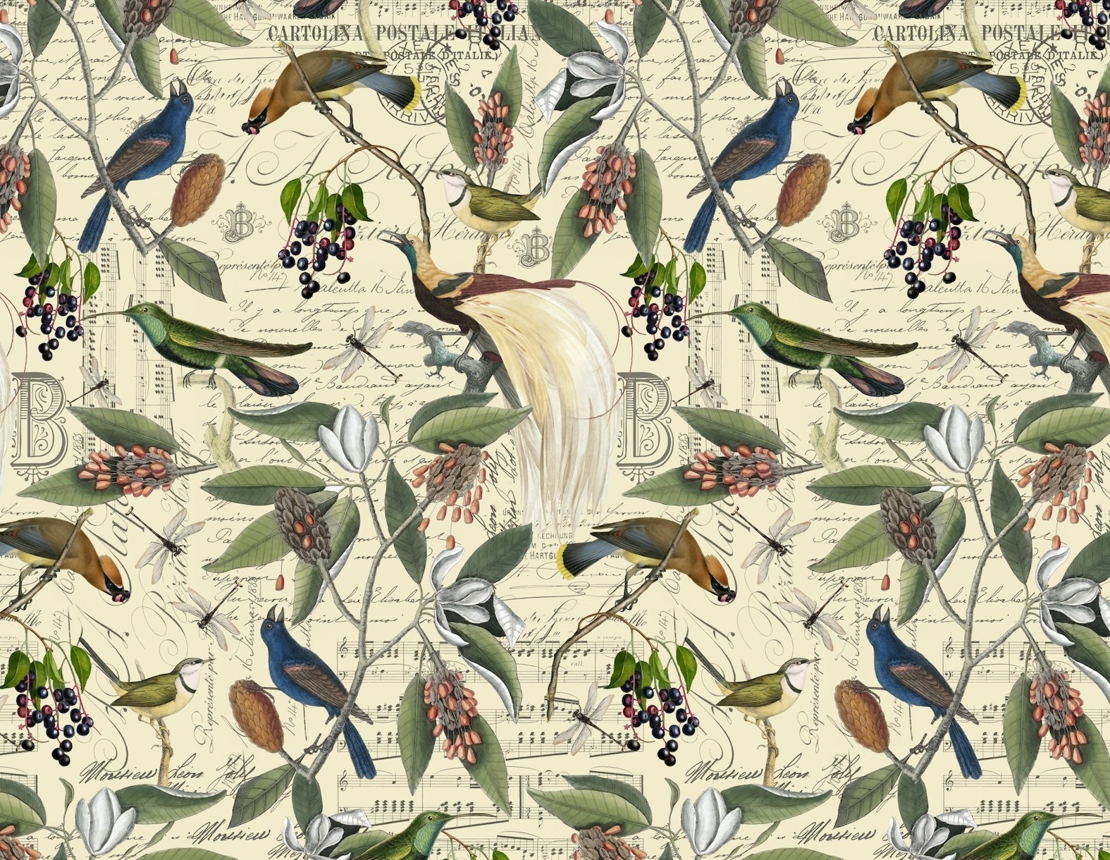Nostalgic Bird and Magnolia Wallpaper | Buy Online at Happywall®