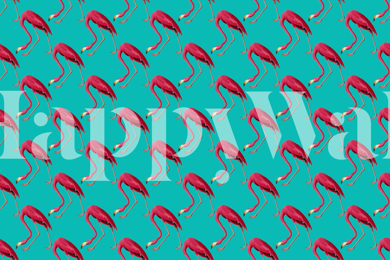Pink Flamingo on Turquoise Wallpaper | Happywall