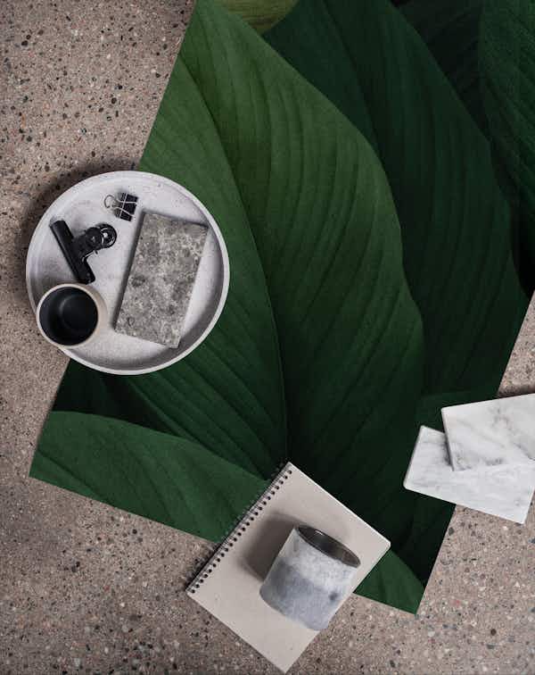 Green Epic Tropical Wallpaper | Buy Online at Happywall