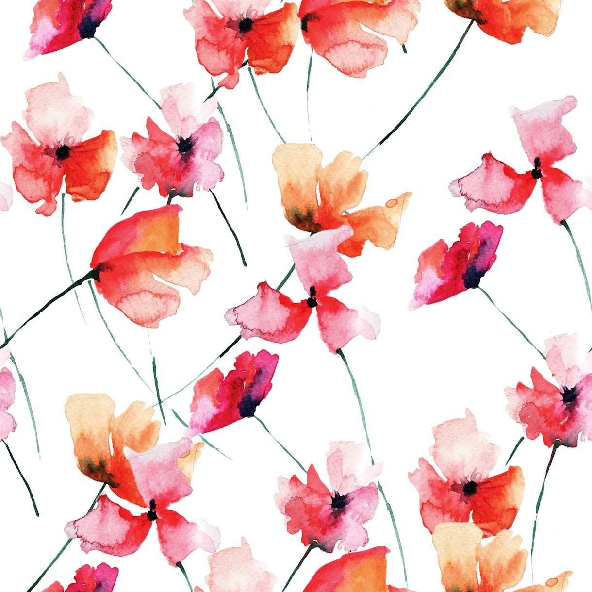 Beautiful Pink Poppy Wallpaper | Happywall