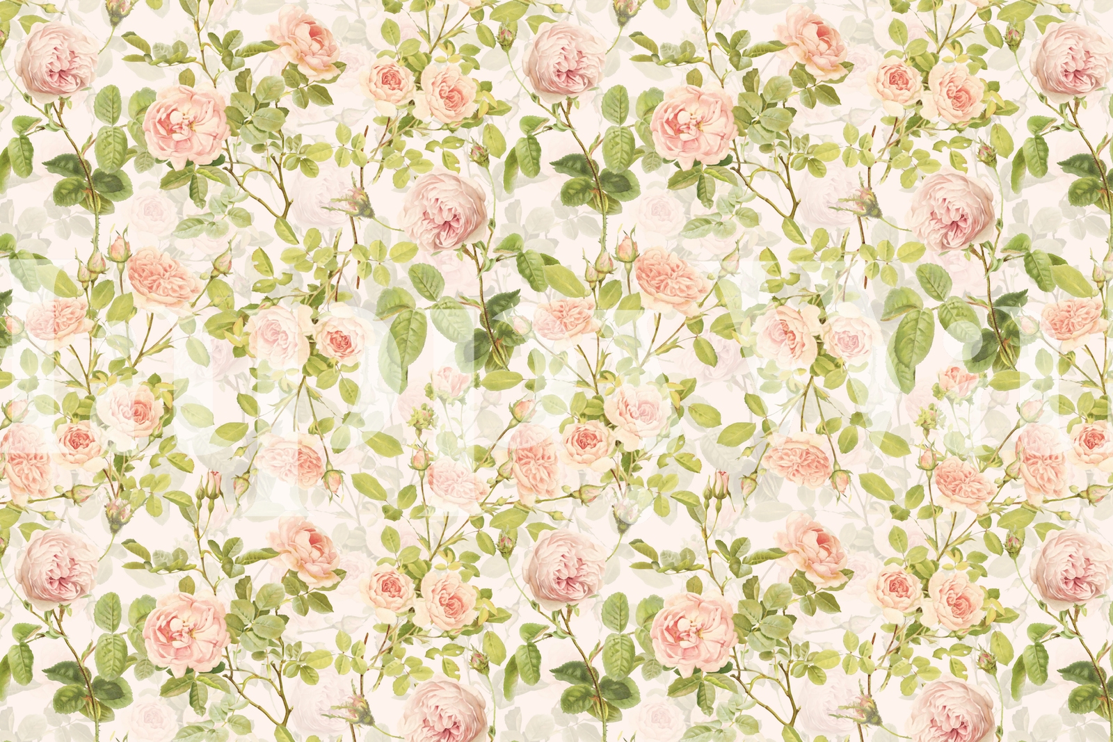 Redoute Roses Garden 7 Wallpaper | Happywall