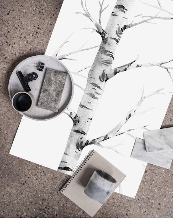 "Birch Trees Forest Wallpaper – Beautiful Nature Design for Your Walls ...