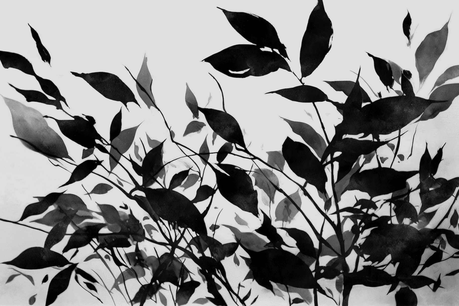 Black Leaf Ink Art Wallpaper - Buy Online | Happywall