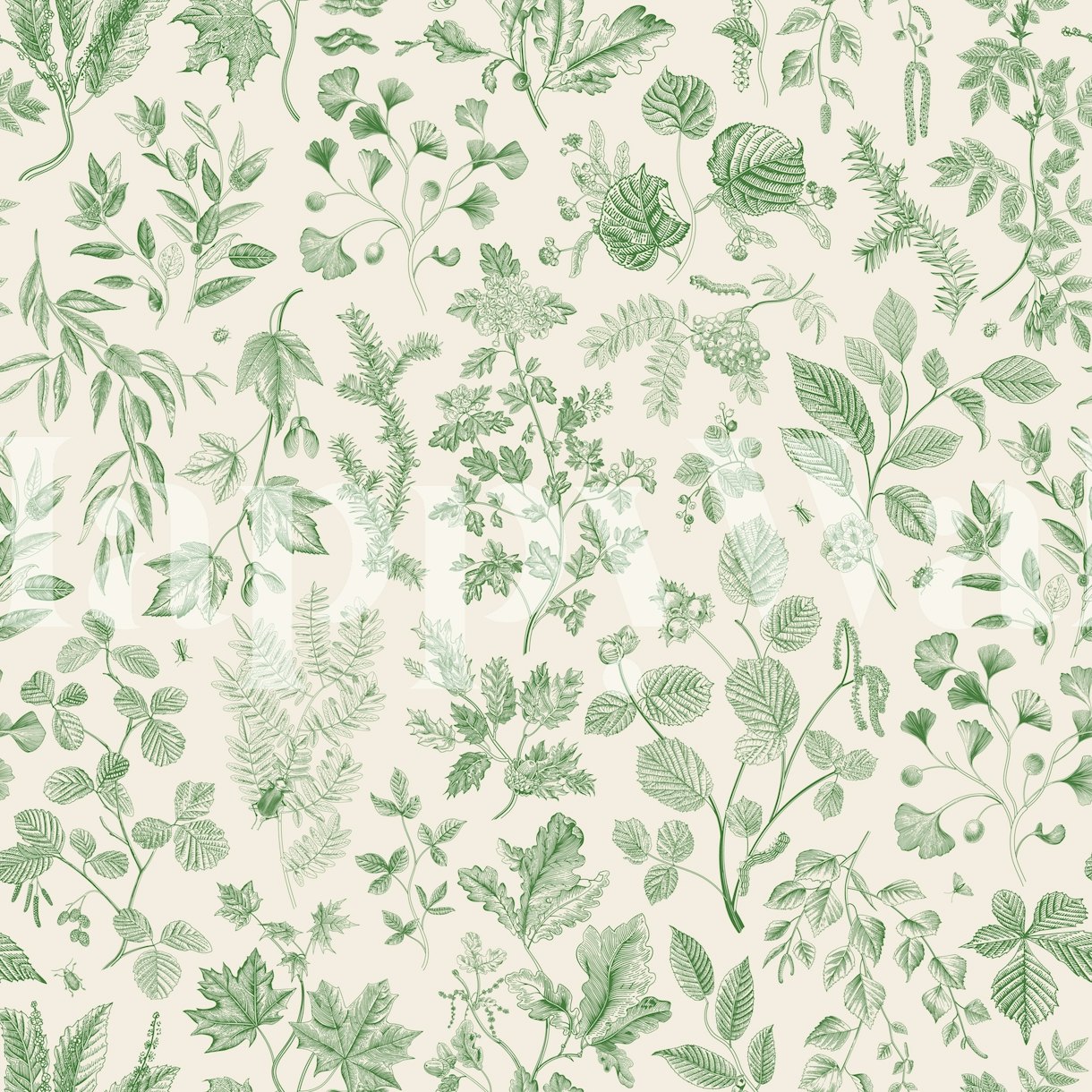 Leafy Green Wallpaper | Buy Nature Inspired Wallpapers - Happywall