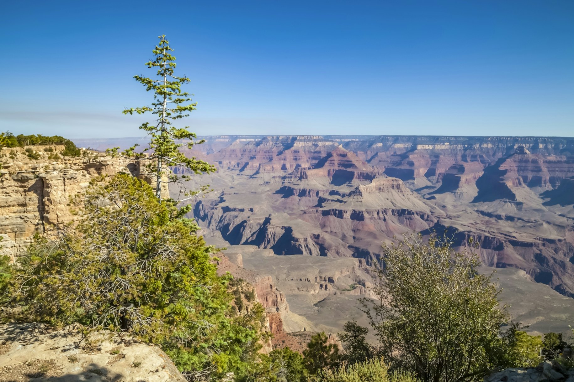 Grand Canyon Idyllic View Wallpaper | Happywall