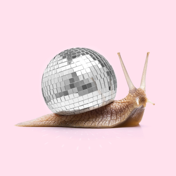 Disco Snail Wallpaper | Happywall