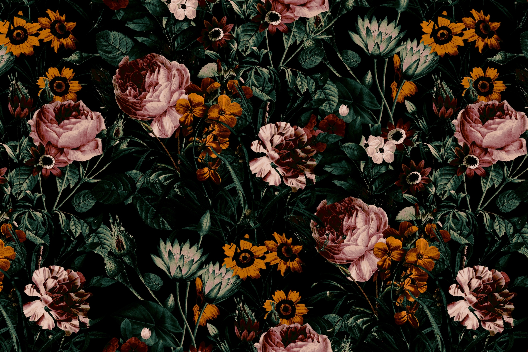 Night Rose Garden Wallpaper | Buy Online at Happywall