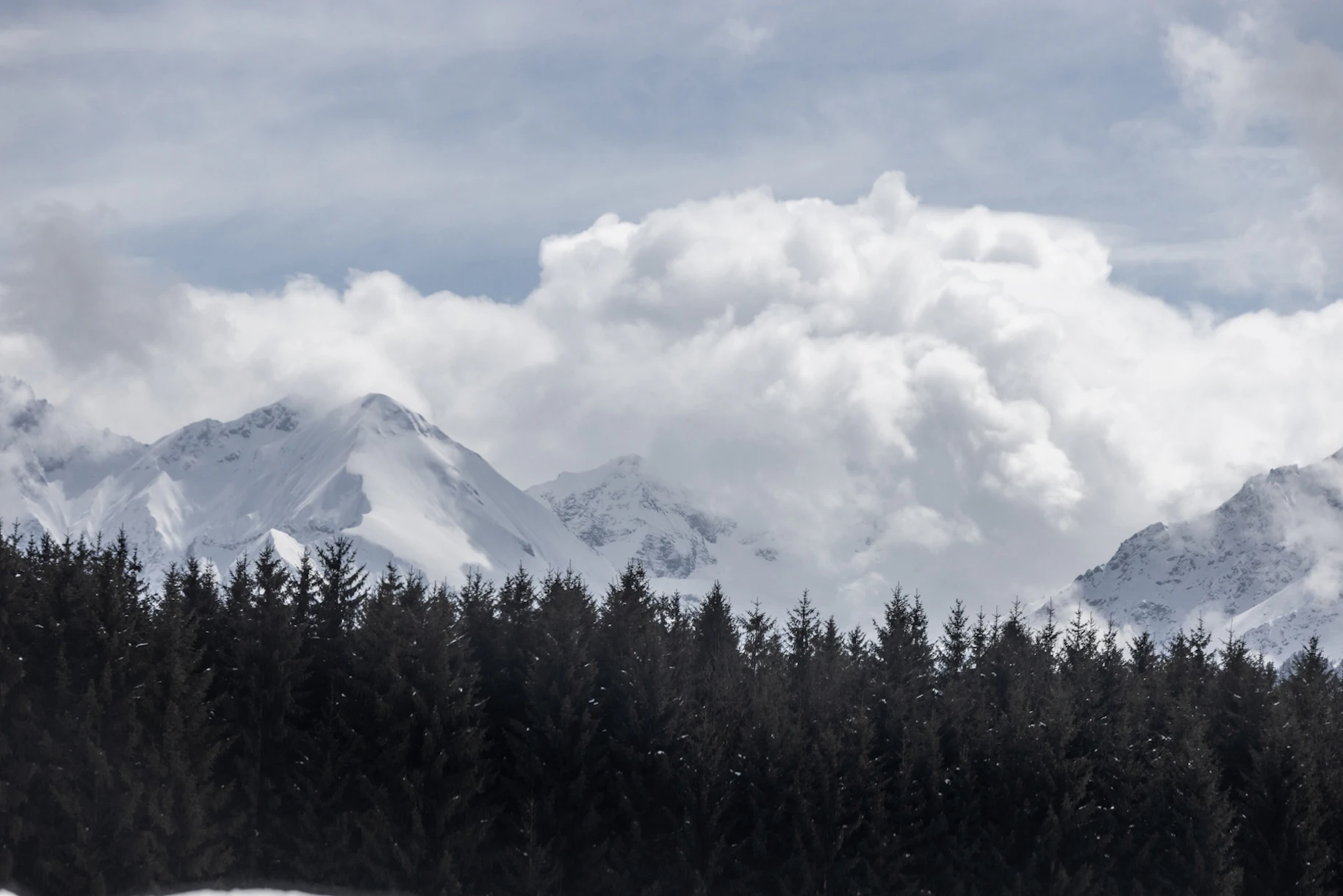 Mountains and Trees Wallpaper - Natural Scenery Mural | Happywall