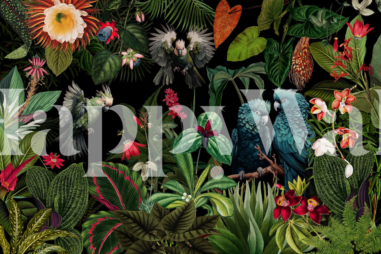 Mystic Night Jungle Wallpaper - Happywall.com