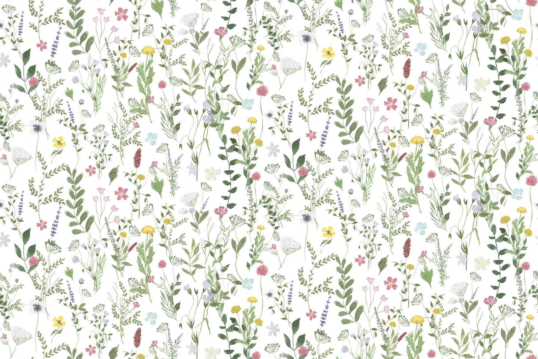 Spring Meadow Wildflower White Wallpaper - Buy at Happywall