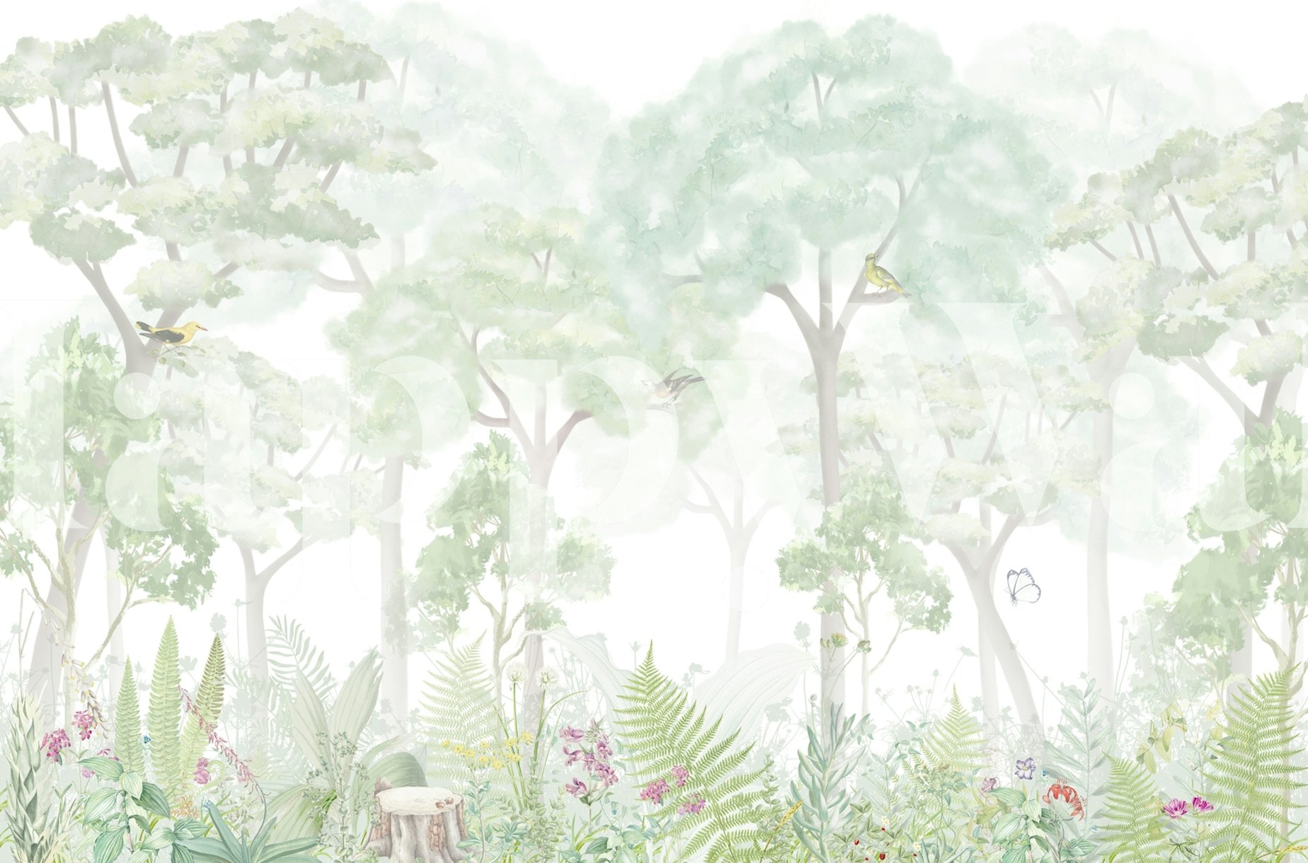 Fantasy Forest Dream Wallpaper - Beautiful Nature Wall Murals | Happywall