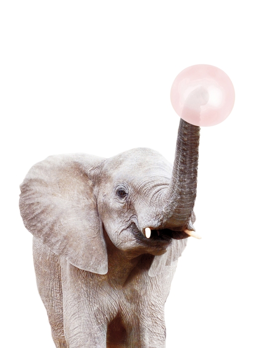 Bubble Gum Elephant Wallpaper - Playful and Fun | Happywall.com
