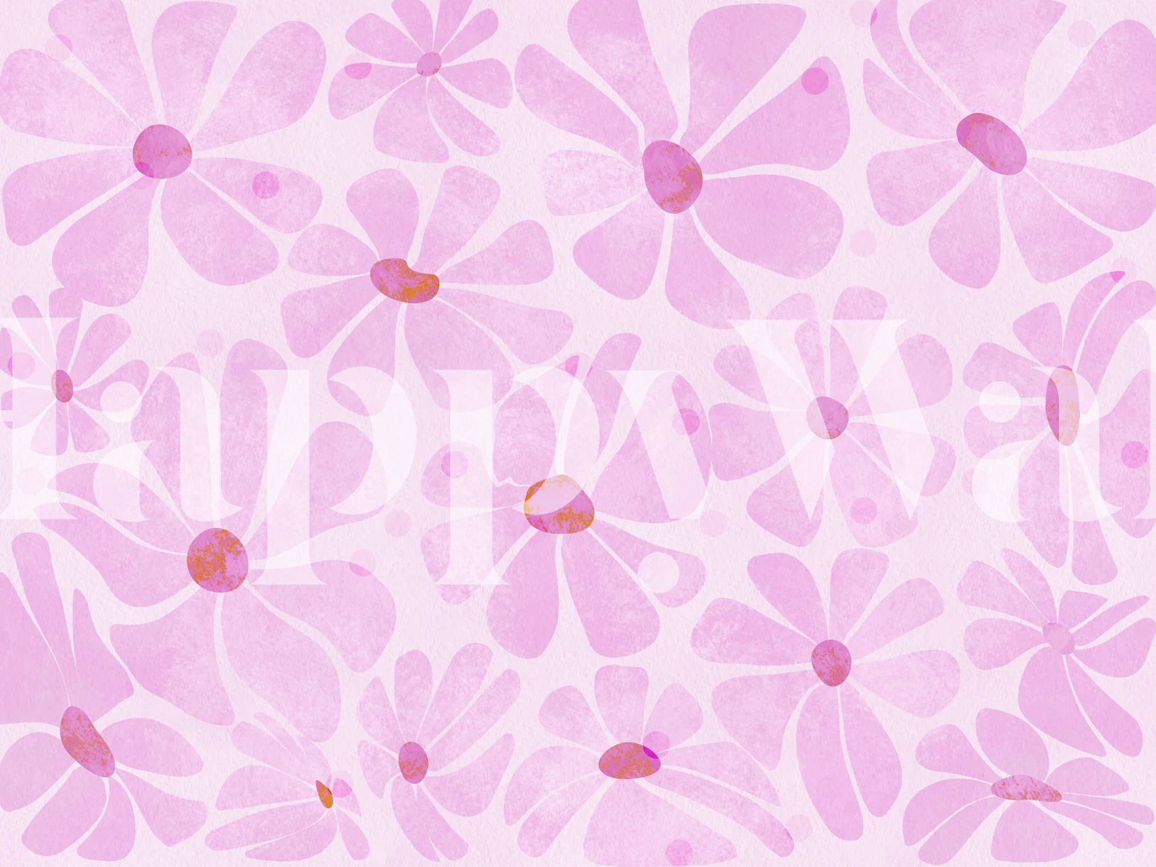 Buy Pink Daisies Wallpaper - Beautiful Floral Design | Happywall