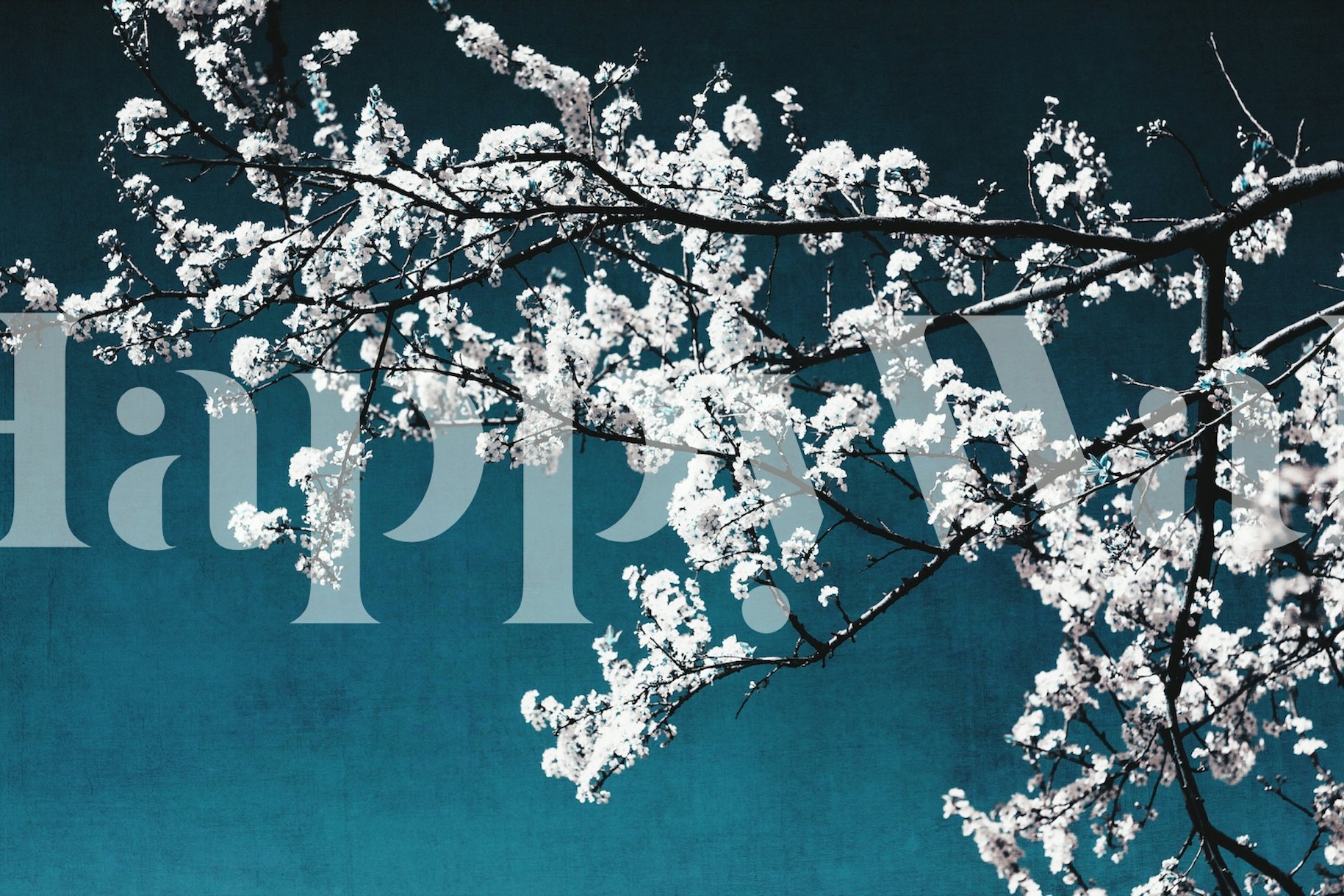 White Flower Tree on Teal Wallpaper | Happywall