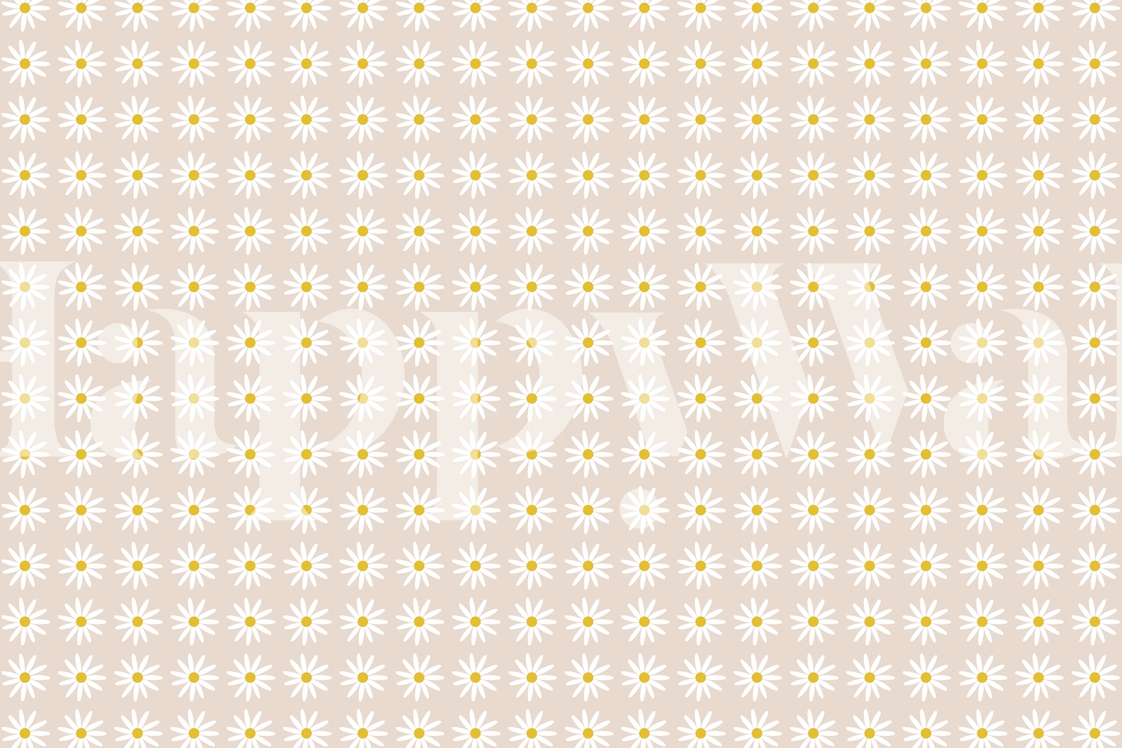 Minimalist Daisy Pattern Wallpaper - Buy Online at Happywall