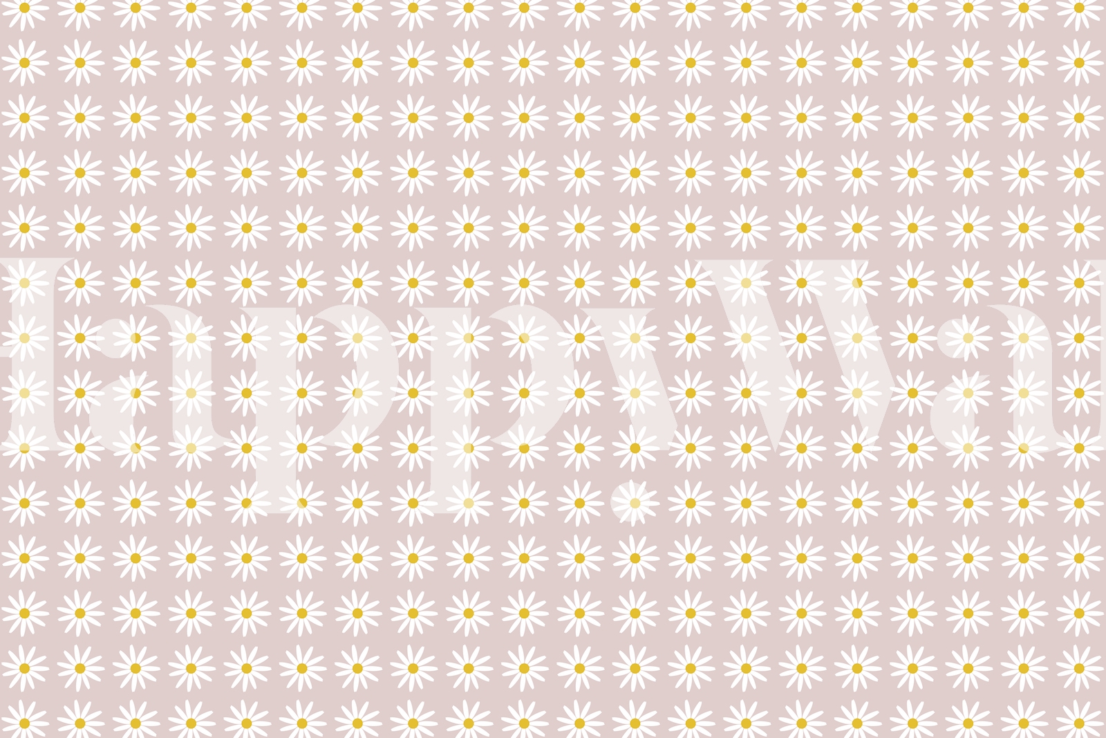 Pink Daisy Pattern Wallpaper - Buy Online at Happywall