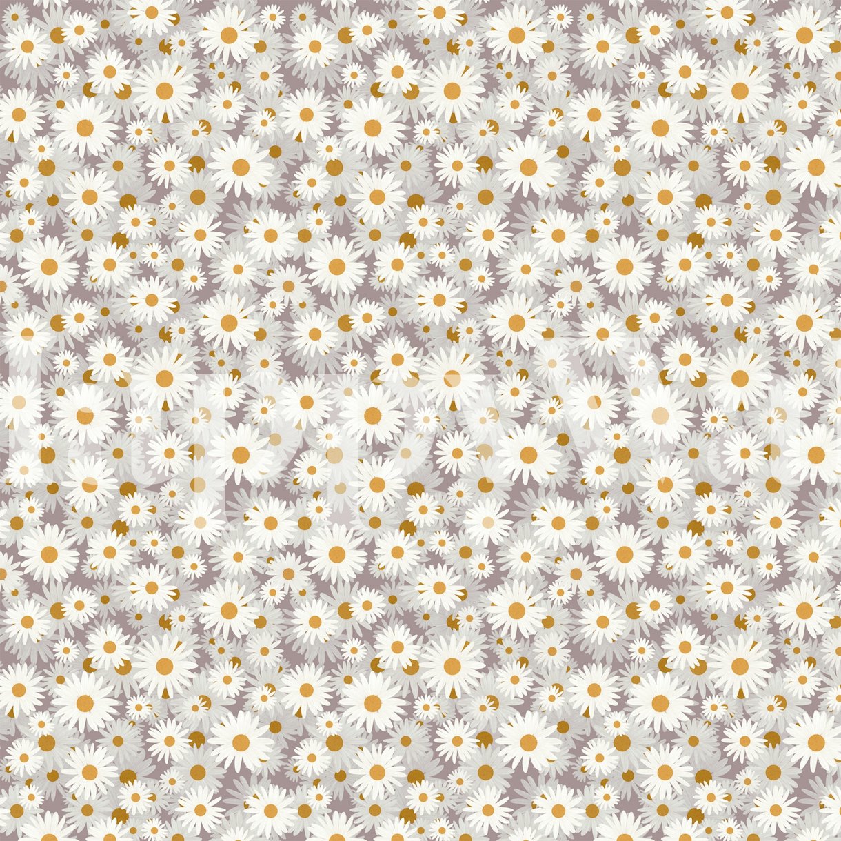 White Daisies pattern wallpaper - Free shipping | Happywall