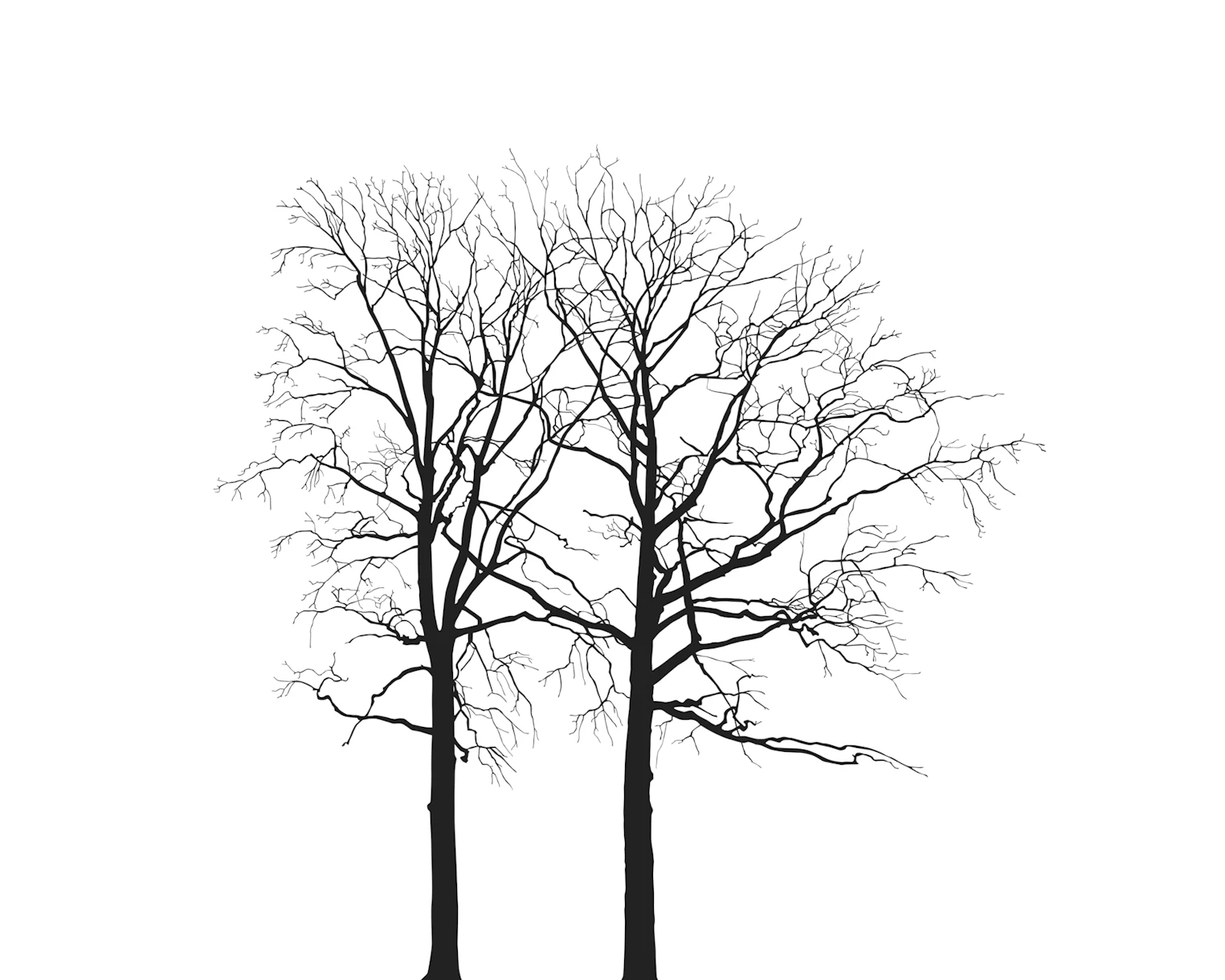 Tree Silhouette Black and White Wallpaper | Happywall