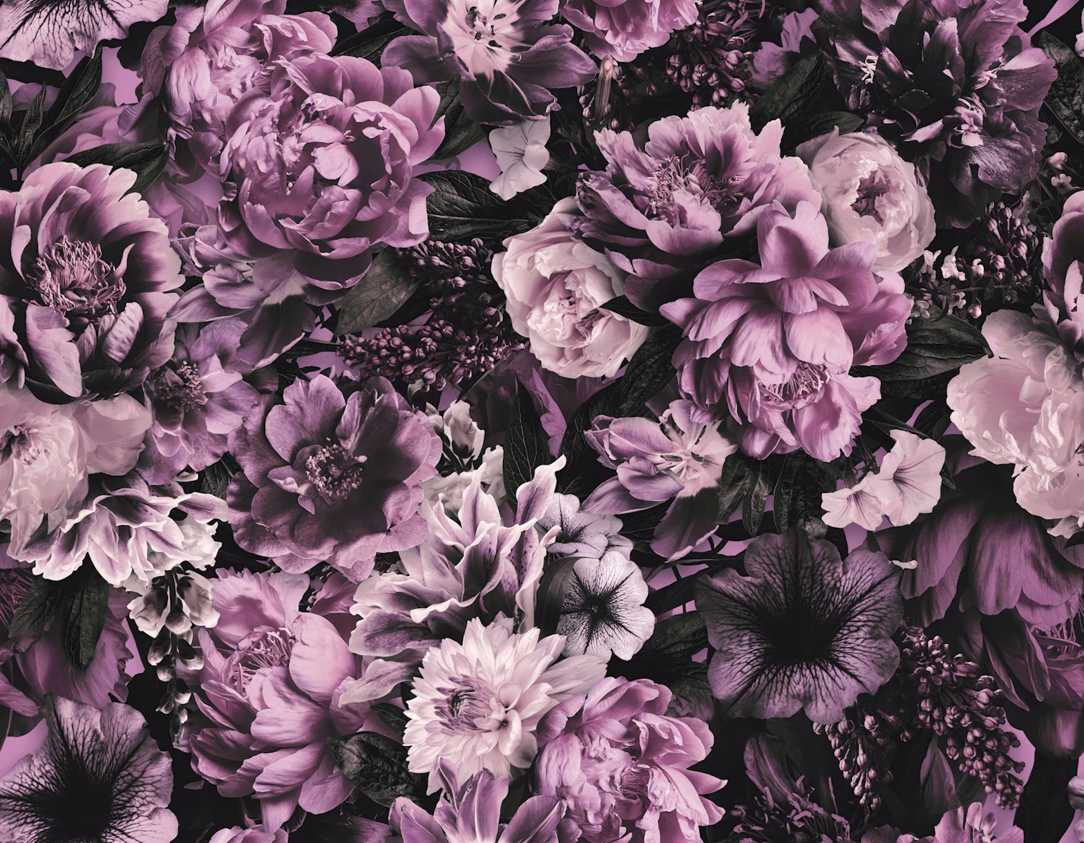 "Floral Baroque Opulence Pink Wallpaper - Buy Online | Happywall"