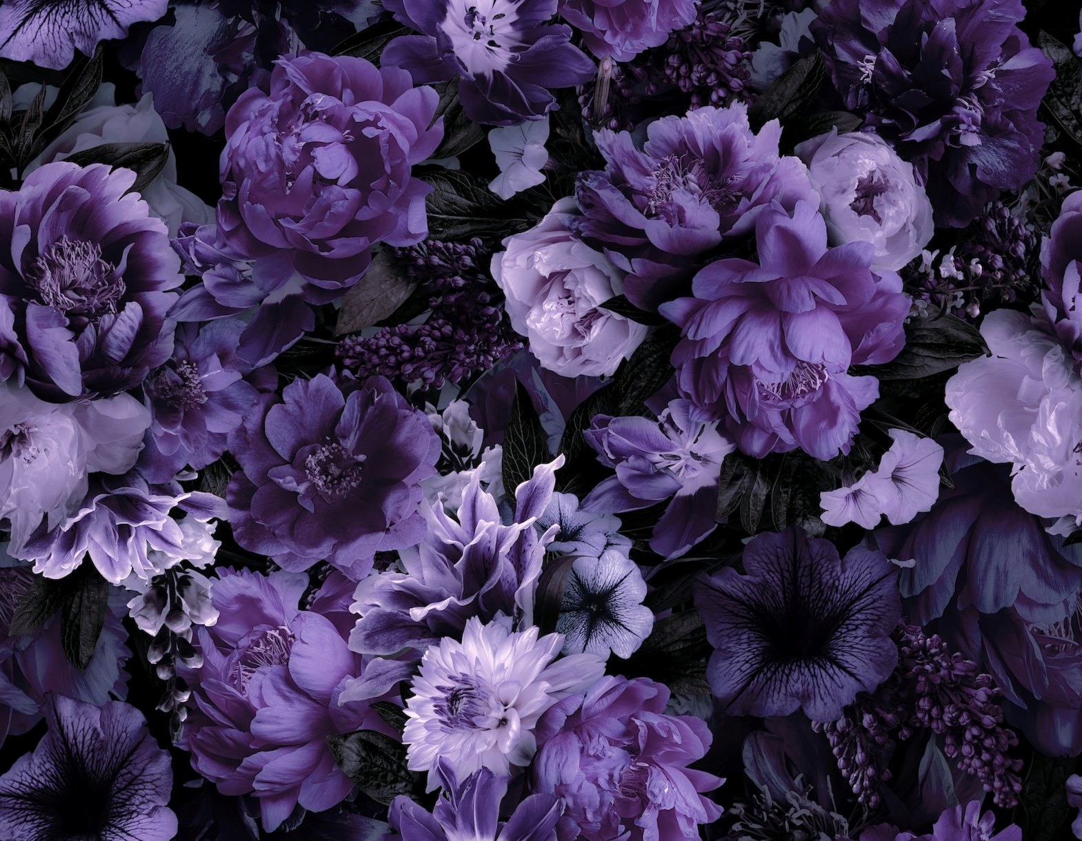 "Floral Baroque Opulence Rich Purple Wallpaper | Happywall"