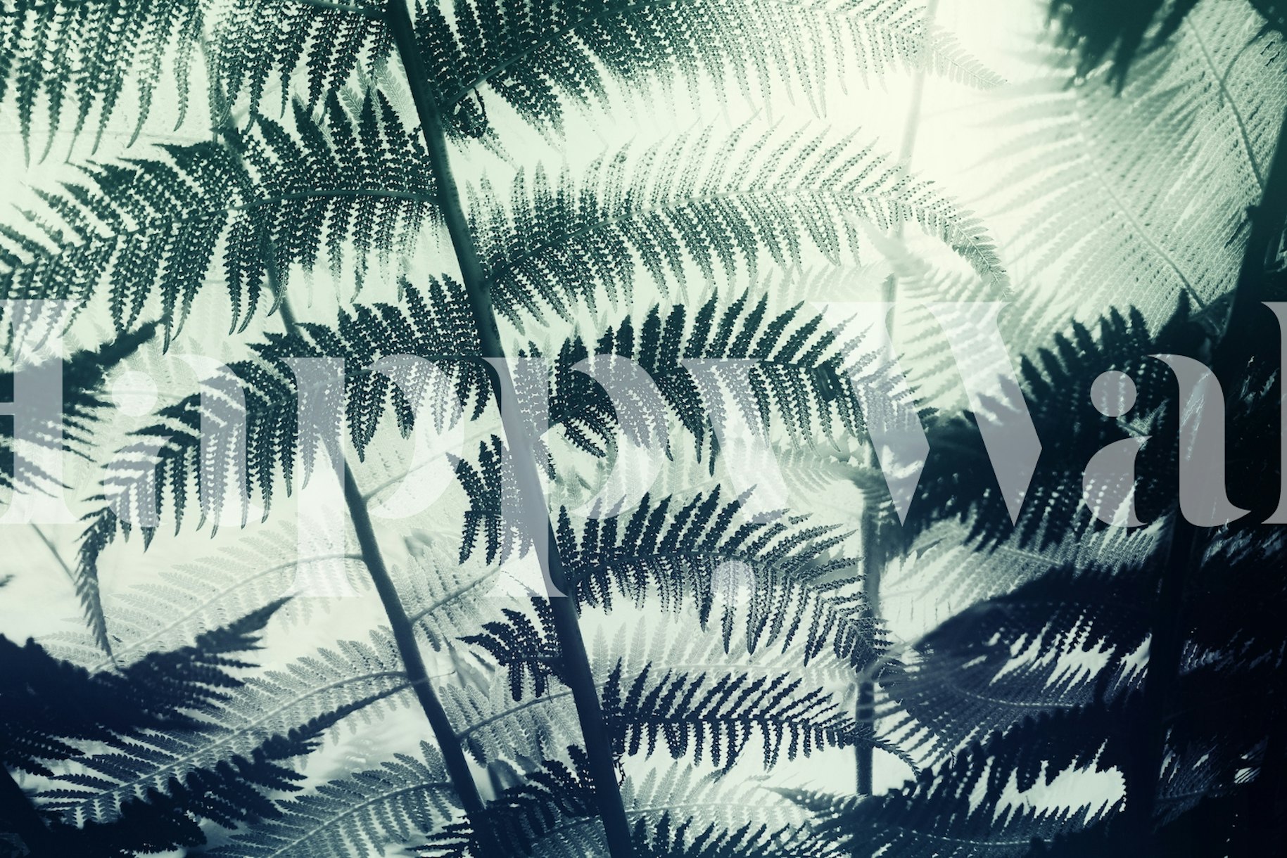 Illuminate Your Space with Fern Leaves Wallpaper - Happywall