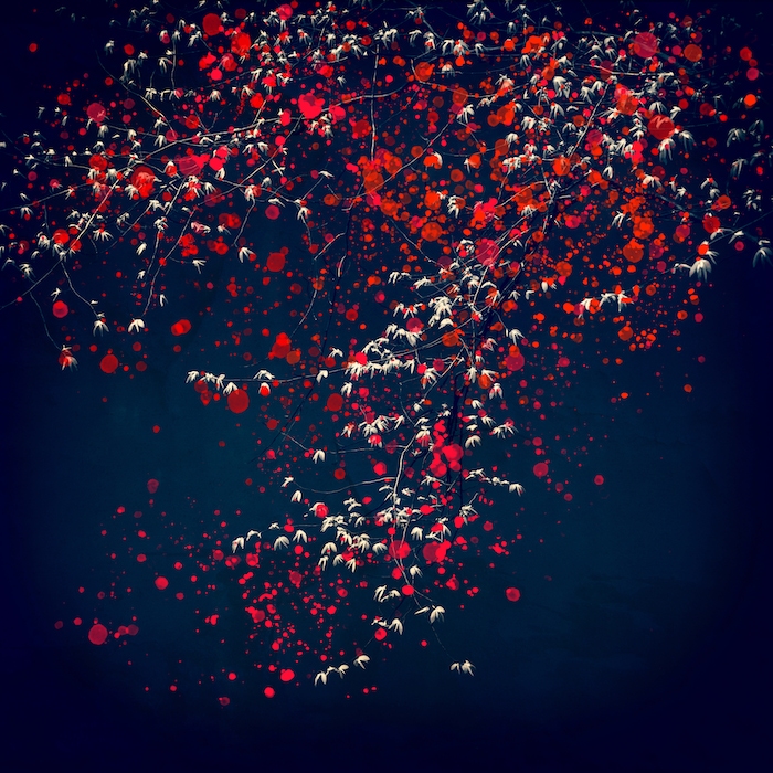 Fire Blossom Tree 5 Wallpaper | Buy Online on Happywall