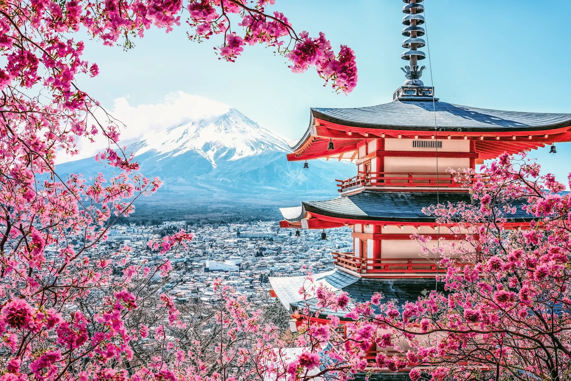 "Spring in Japan Wallpaper | Happywall - Buy Beautiful Wallpapers Online"