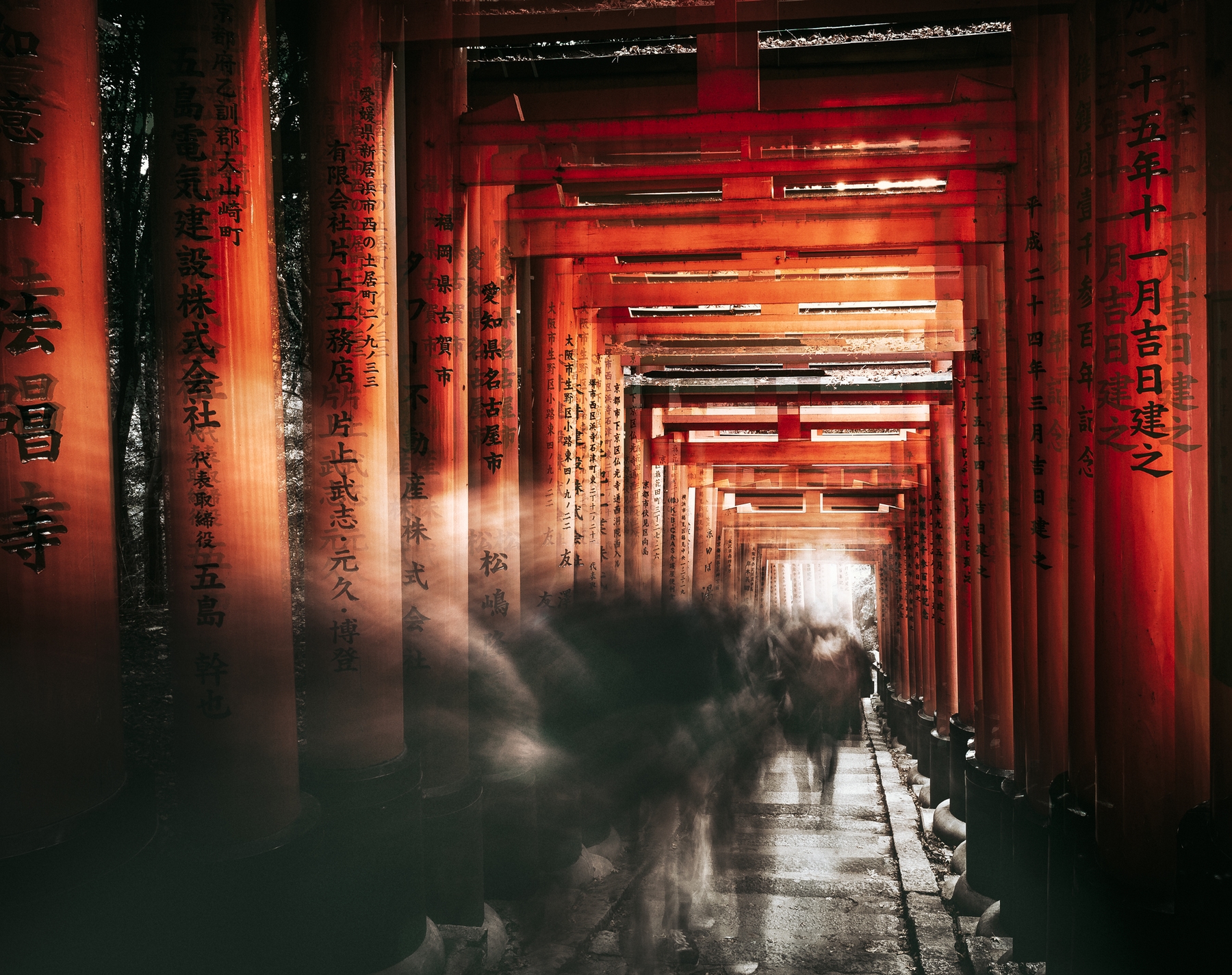 Fushimi Inari Shrine Wallpaper - Japanese Style Wall Art | Happywall