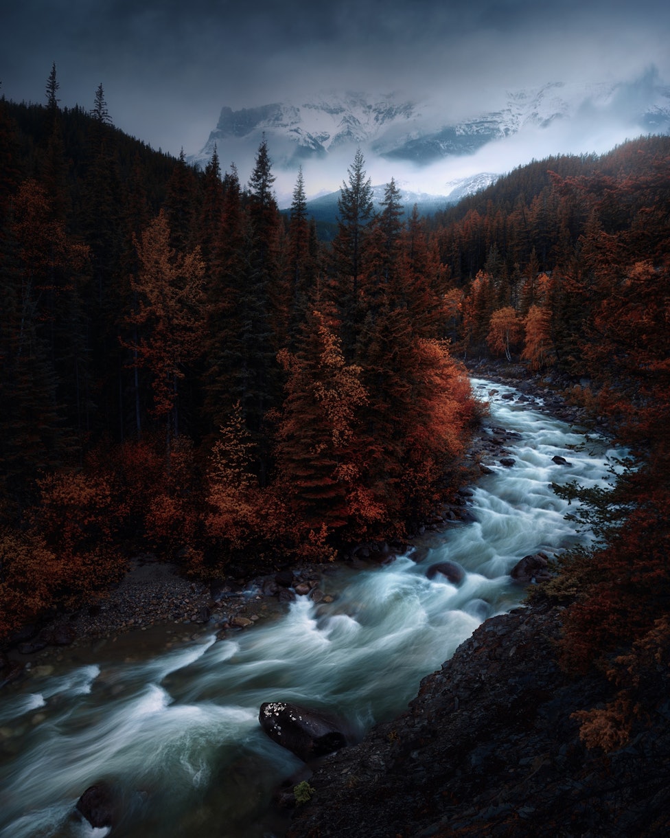 Sin lineas wallpaper - Happywall