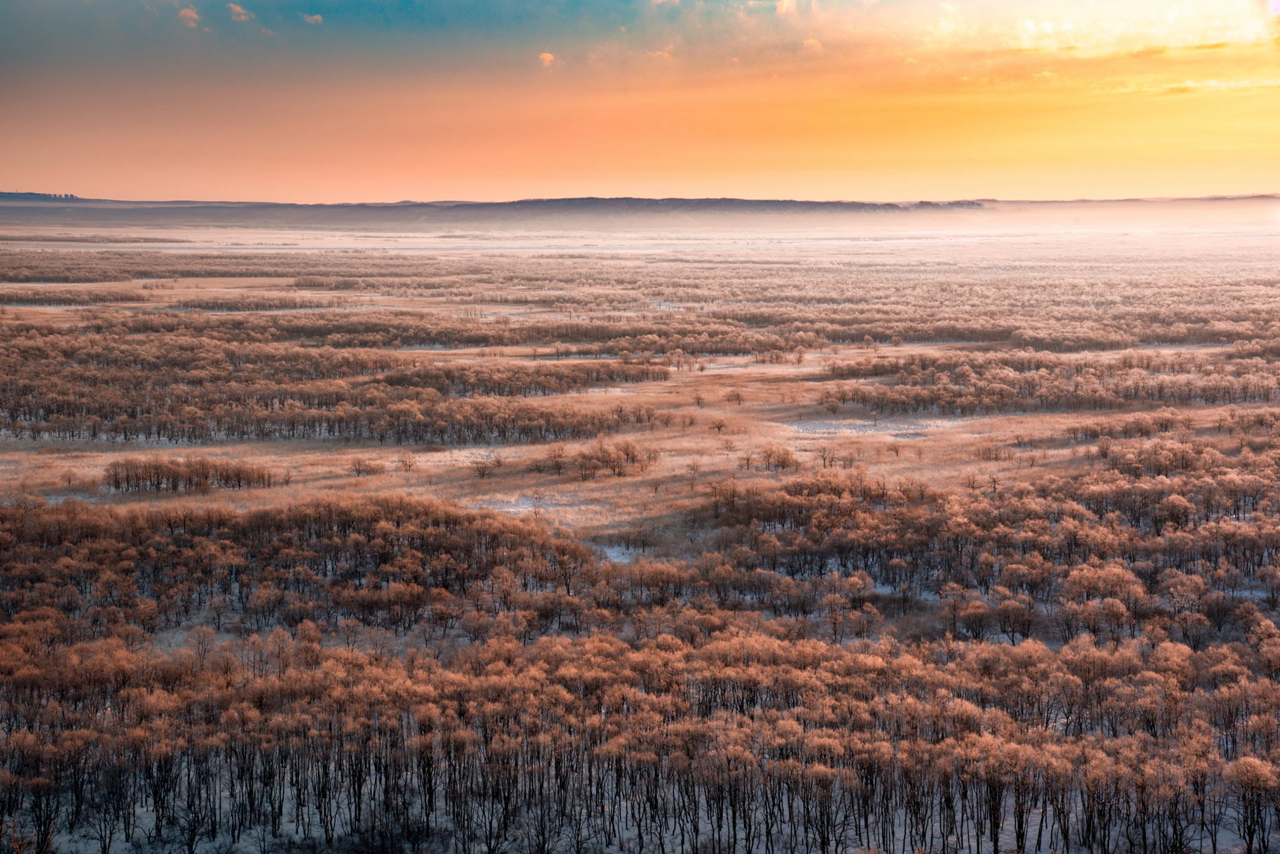 Buy Beautiful Dawn Wallpaper Online | Happywall