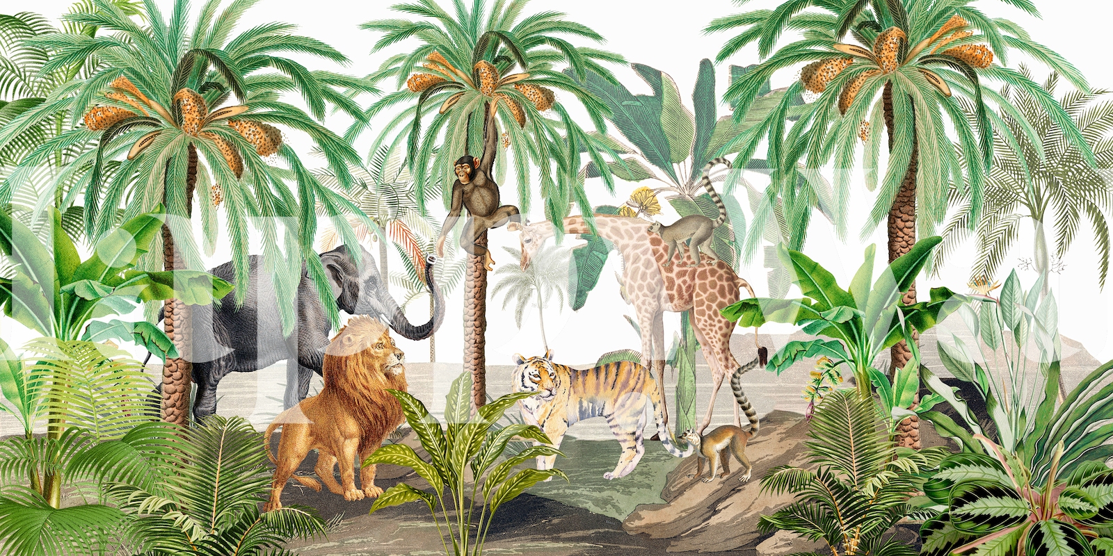 African Safari Wallpaper