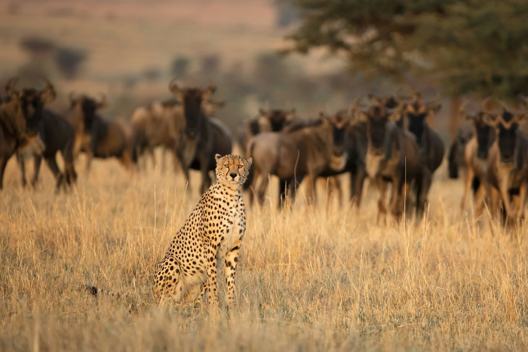 Aware Wallpaper | Striking and Modern Design | Happywall