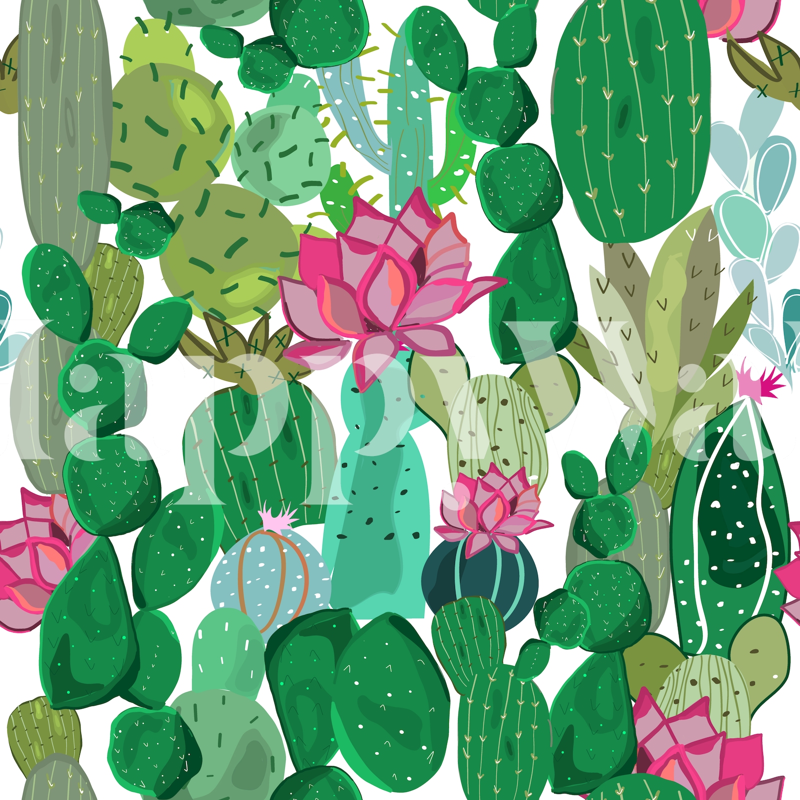 Cactus and Succulent Wallpaper | Happywall