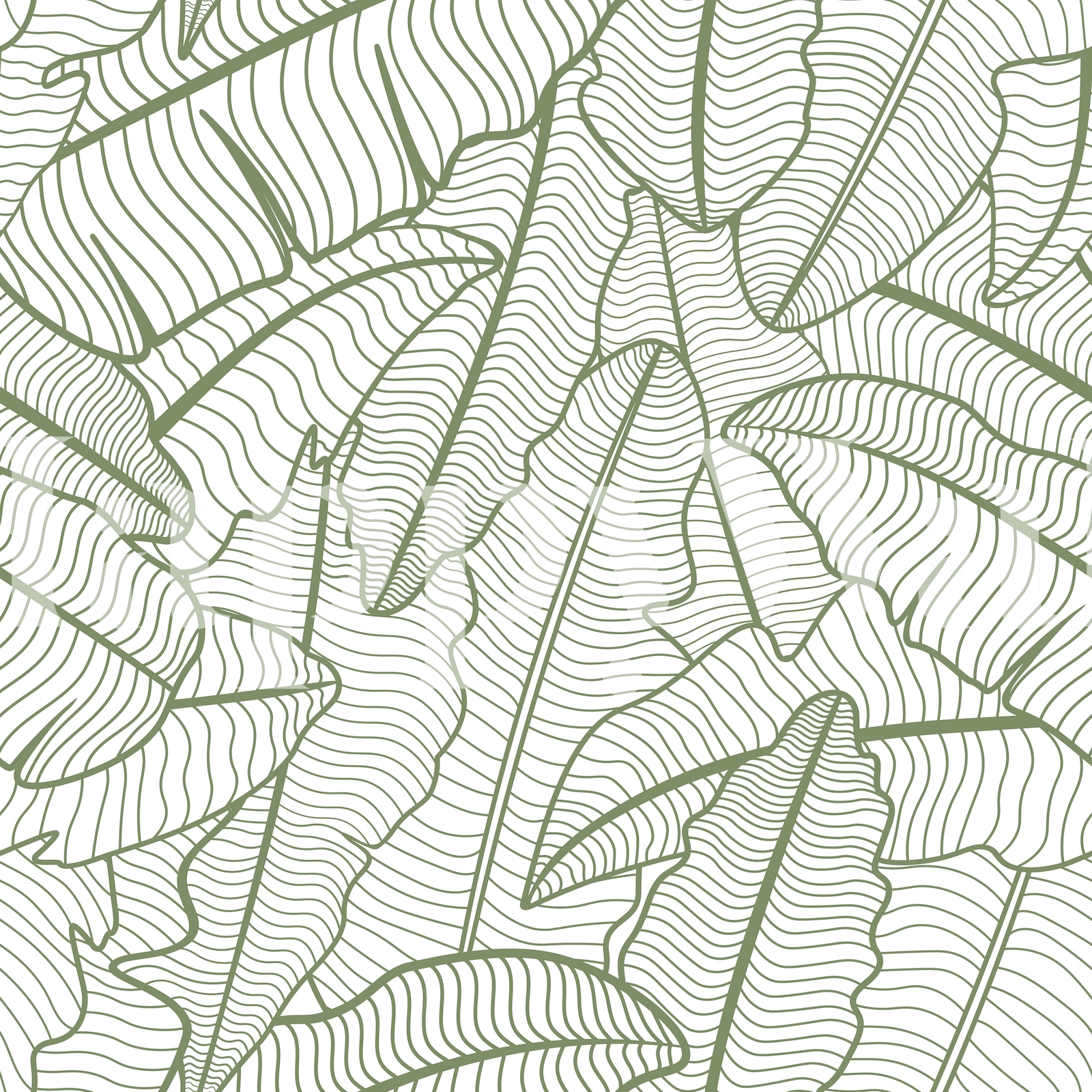 Green Leaf Line Drawing