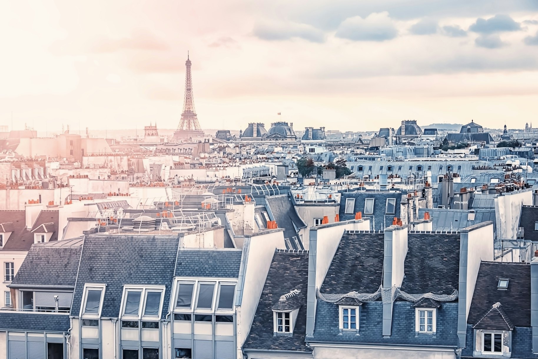 Paris Roofs Wallpaper | Shop Beautiful Wallpapers Online at Happywall