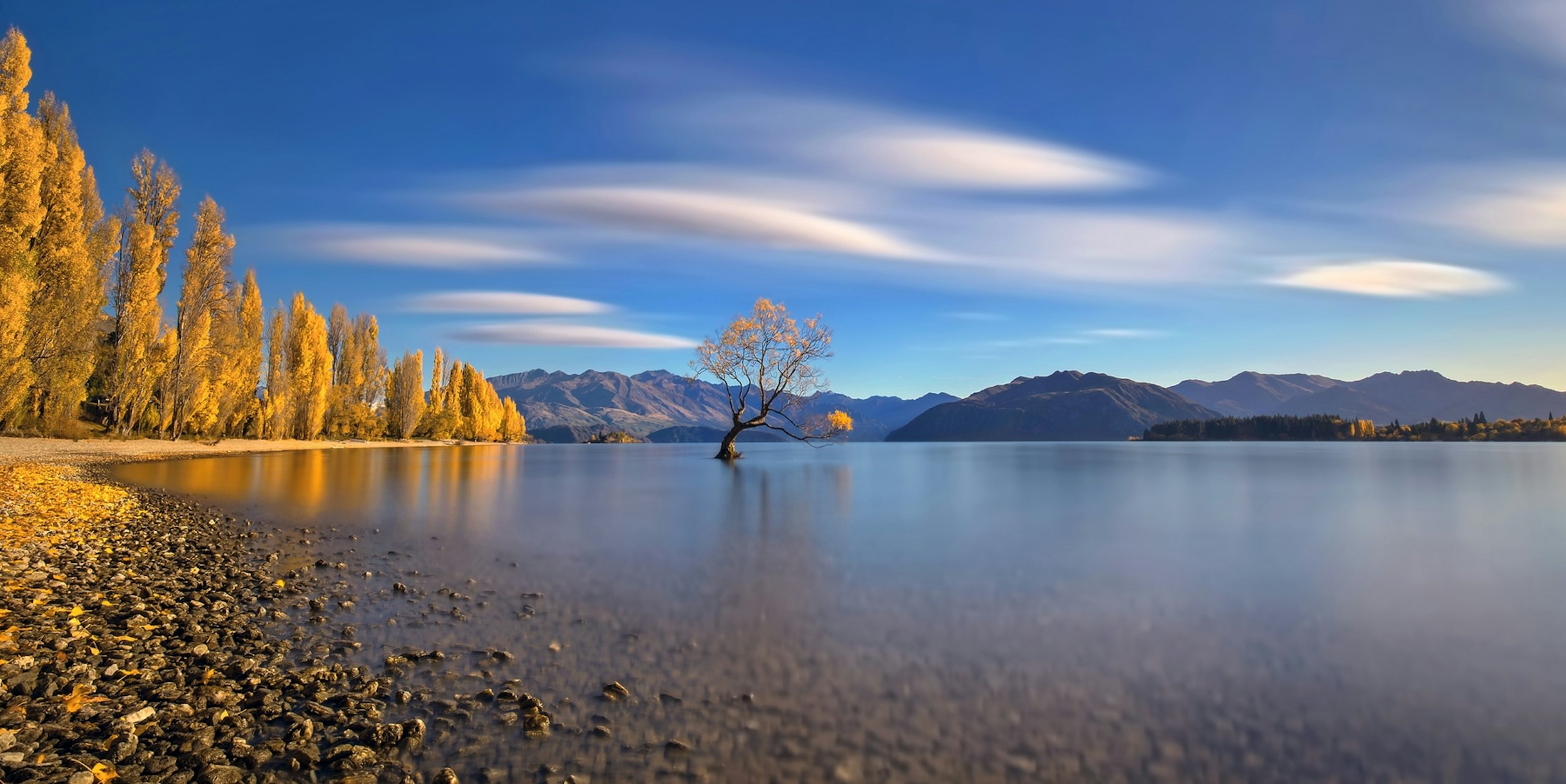 Autumn in Lake Wanaka wallpaper - Free shipping | Happywall